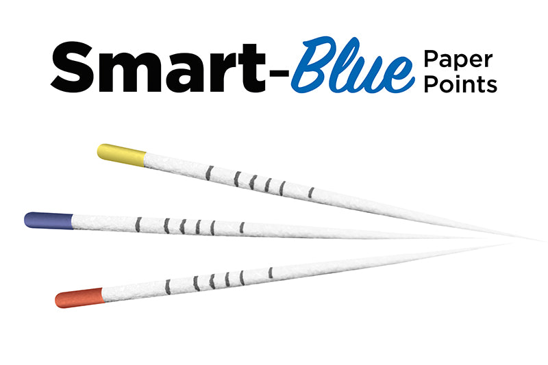 Top Quality Smart-Blue Absorbent Paper Points – Top Quality Manufacturing